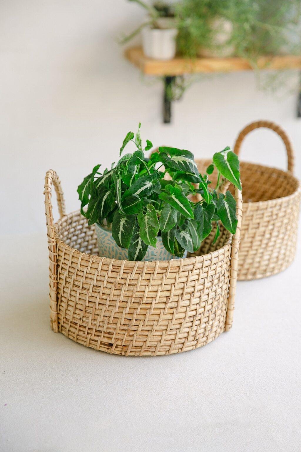 Rattan Cane Basket Round - Tukura Home